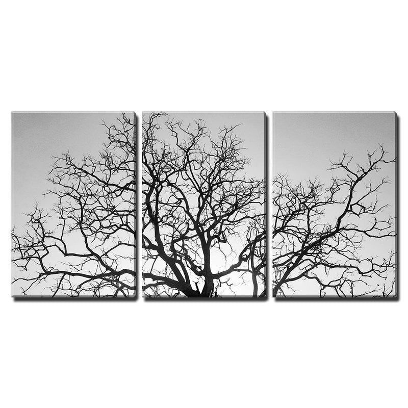 Dead Tree Branch 3 Piece Canvas Wall Art - Splendas
