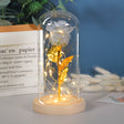 Eternal Rose Flowers LED Light In Glass Cover - Splendas
