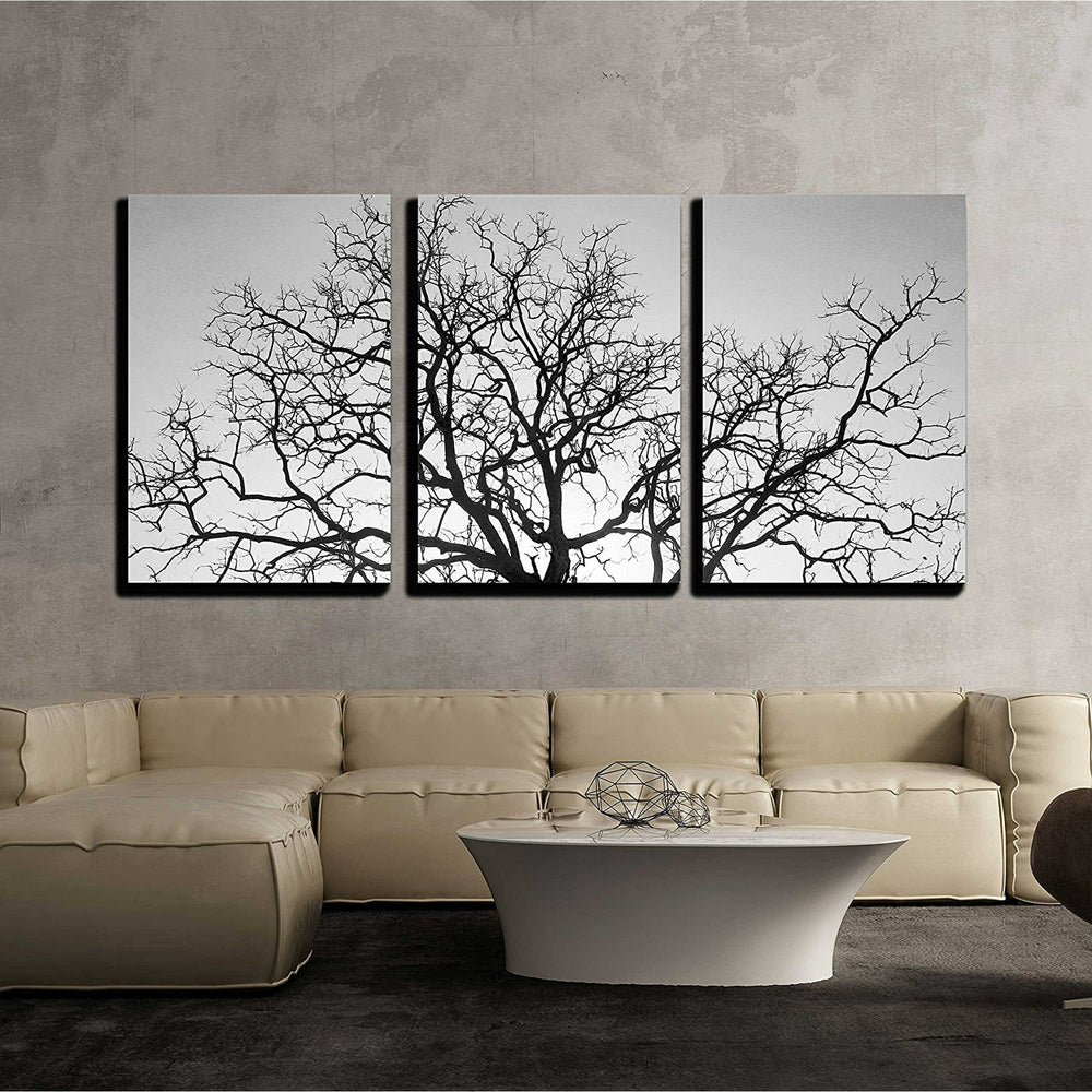 Dead Tree Branch 3 Piece Canvas Wall Art - Splendas